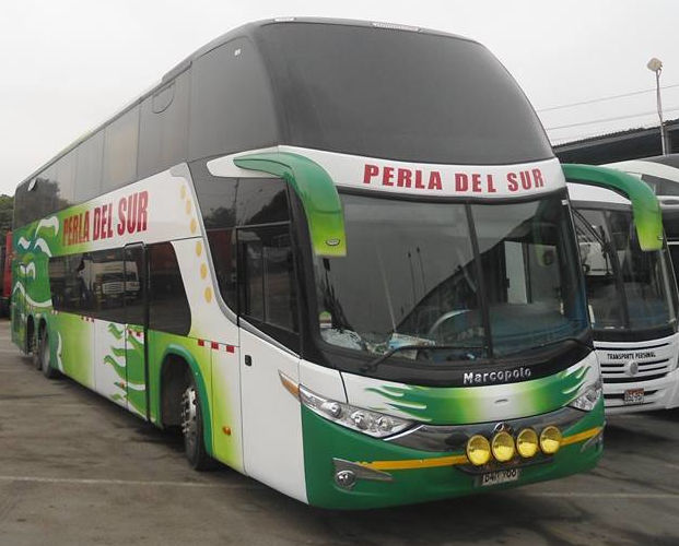 Expreso Perla del Sur - Compra pasajes de bus al mejor precio | redBus ...