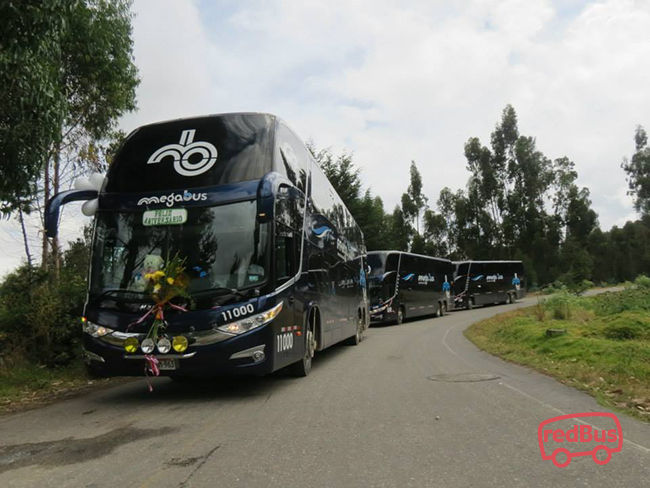 Megabus - Compra pasajes de bus al mejor precio | redBus Perú 🚌