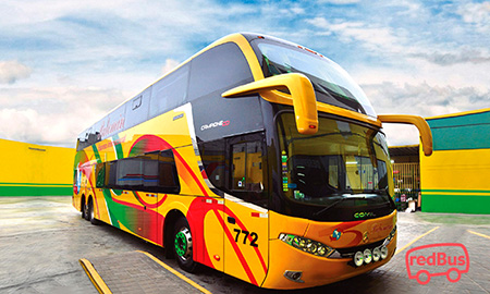 Wari Palomino - Search Bus schedules, book tickets | redBus Peru