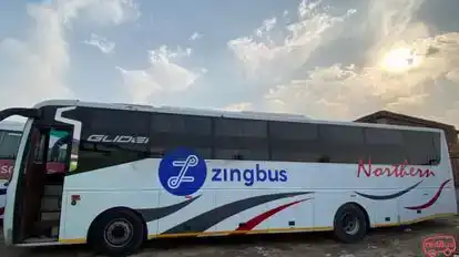 zingbus - Get 5% off on Bus Tickets Online | redBus, India
