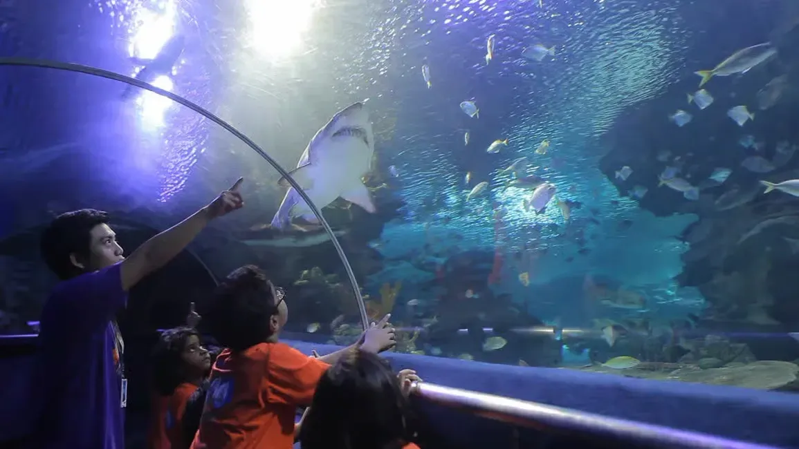 Book Aquaria KLCC Ticket 🦭Get Flat 17% Discount