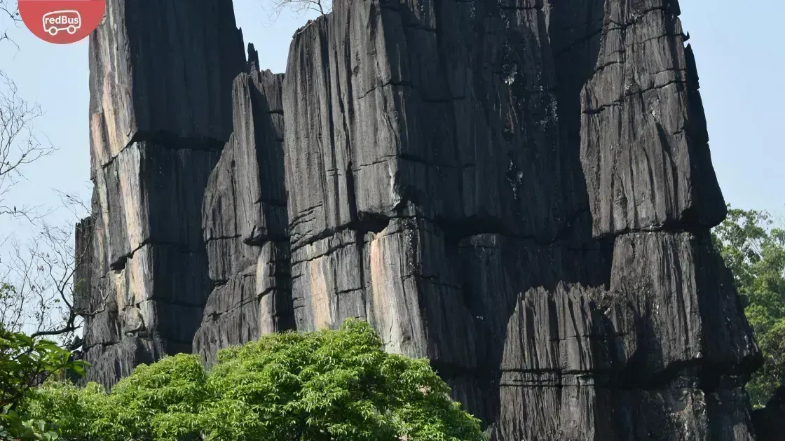 Primo Bus Booking | Book Luxury Sleeper or Seater Buses on redBus