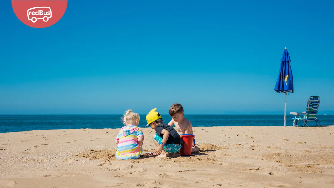 Primo Bus Booking | Book Luxury Sleeper or Seater Buses on redBus