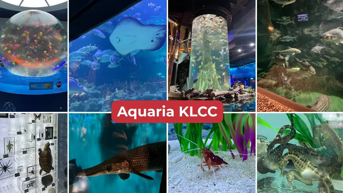 Tempah Tiket Aquaria KLCC di MYR 45 | May 2026